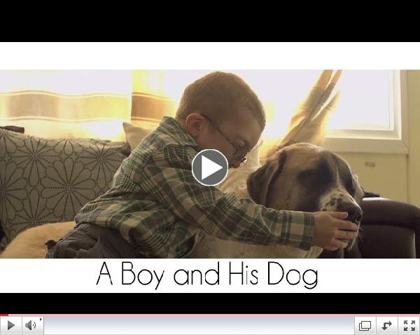 A Boy and His Dog