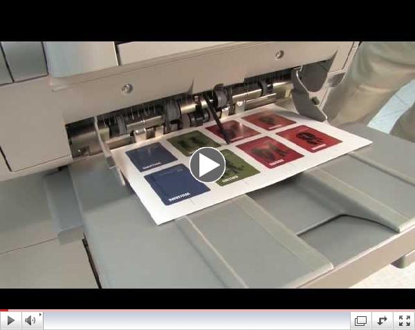 Synaps Synthetic Line Expanded to Include 13"x19" and 14.33"x20.5 ...