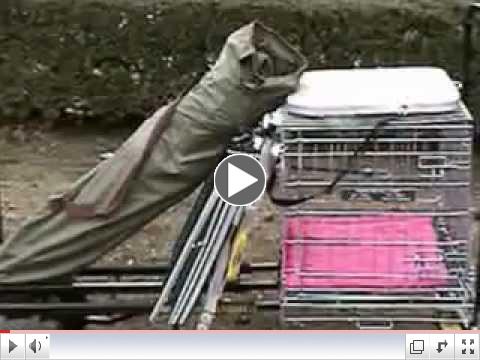 Dog Show Cart on Sale!