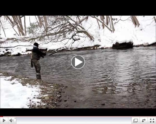 News from Slate Run Tackle Shop