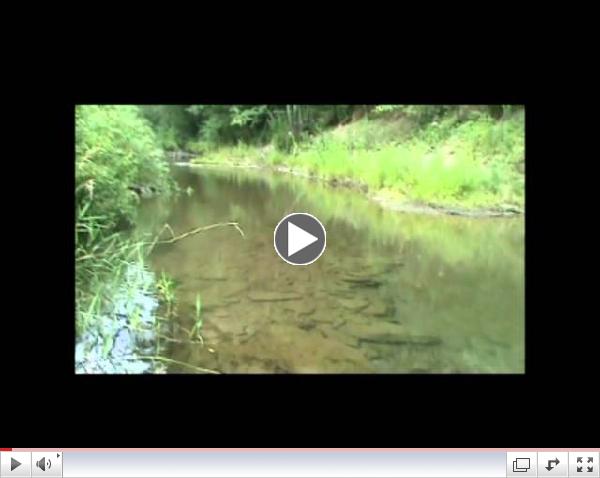 News from Slate Run Tackle Shop